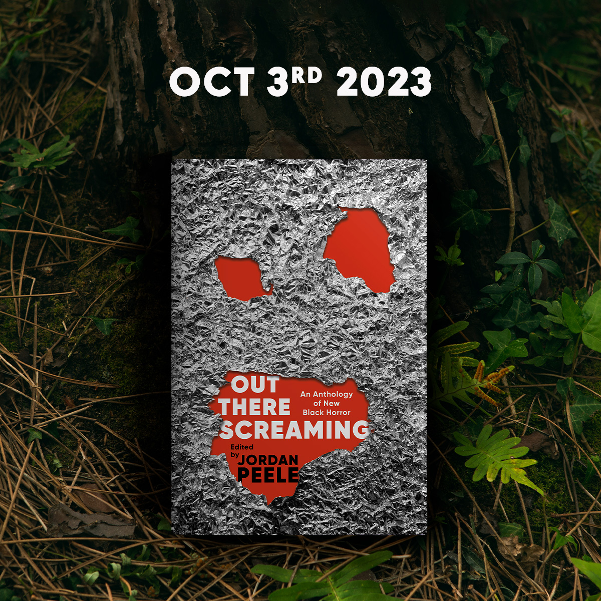 “Out There Screaming!” – Nicole D. Sconiers